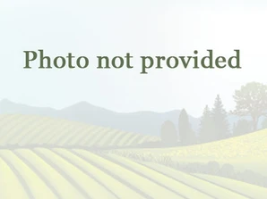 Land for Sale - 0 Snow Hill Church Road 1191876, Danbury, NC 27016 - 3. ...