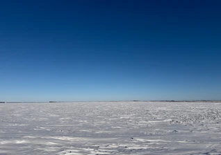 Land for Sale - rural, Hamilton, ND 58238 - 316 acres