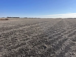 Land for Sale - Mountain, ND 58262 - 136.59 acres