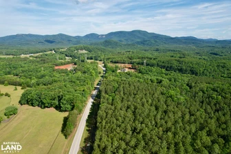 Land for Sale - 00 Arledge Road, Landrum, SC 29356 - 77.3 acres