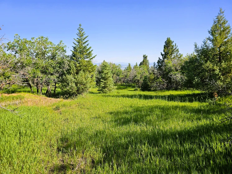 Land for Sale - Mount Pleasant, UT 84647 - 5.1 acres