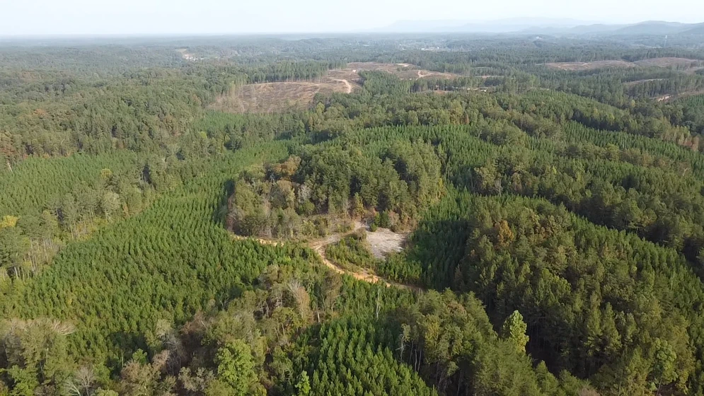 Land for Sale - Fairmount, GA 30139 - 585 acres