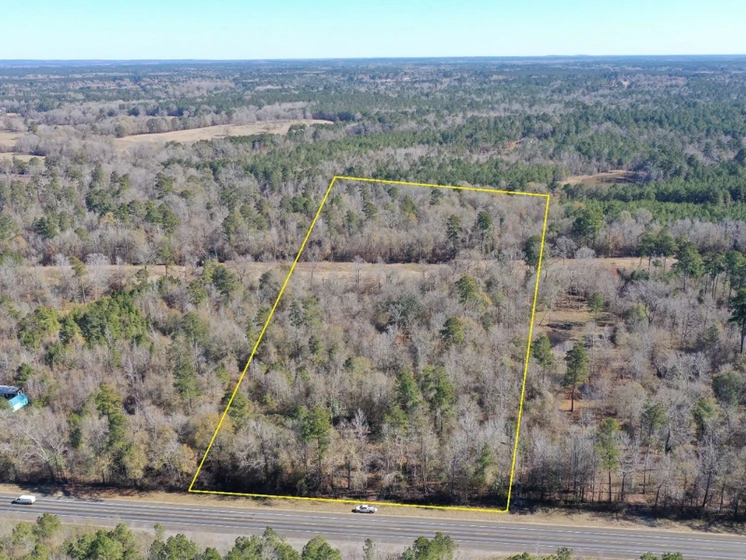 Land for Sale - U.S. Highway 96 North, Pineland, TX 75968 - 15 acres