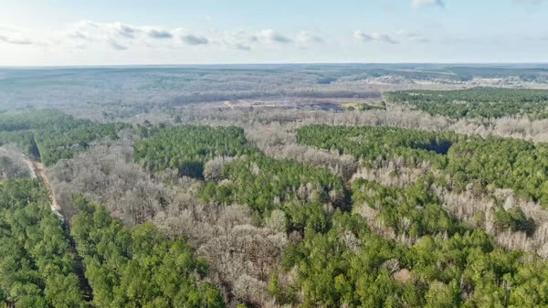 Land for Sale - 0 Double Bridges Rd, Madison, GA 30650, Rutledge, GA ...