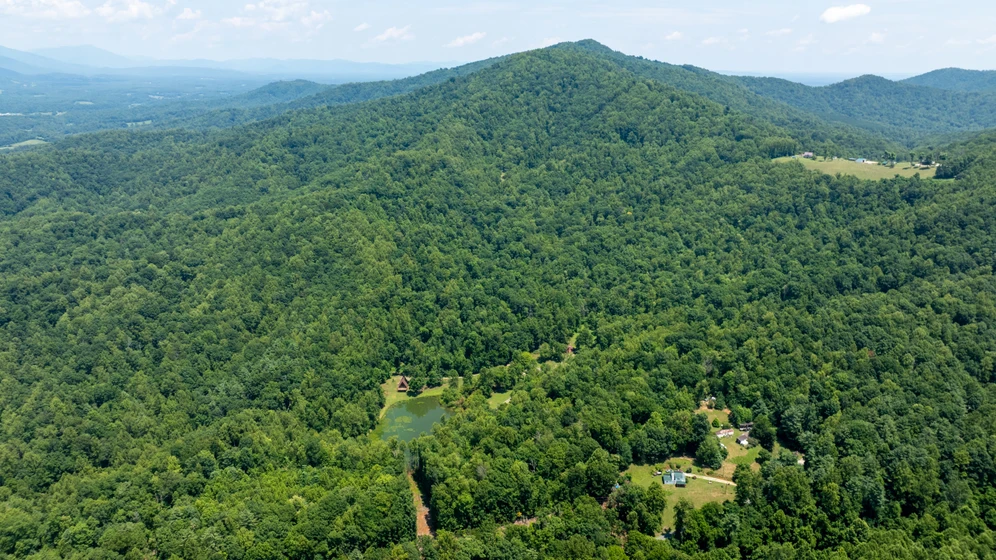 Land for Sale - 231 Opus Lane, Amherst, VA 24521 - 15.35 acres