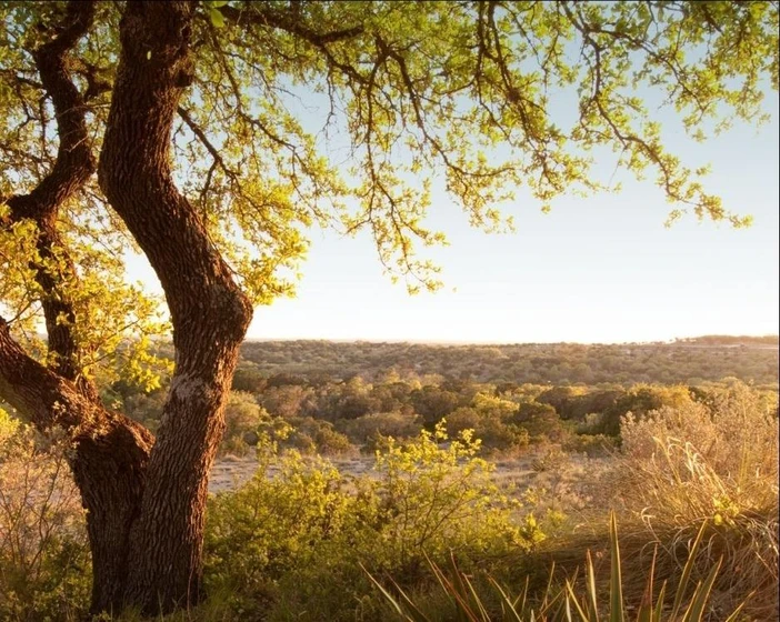 Land for Sale - 200 Mitchell Drive, Spring Branch, TX 78070 - 5 acres