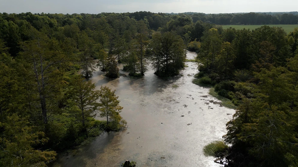 Land for Sale - 201 Old St. Route 104, Trenton, TN 38382 - 90 acres