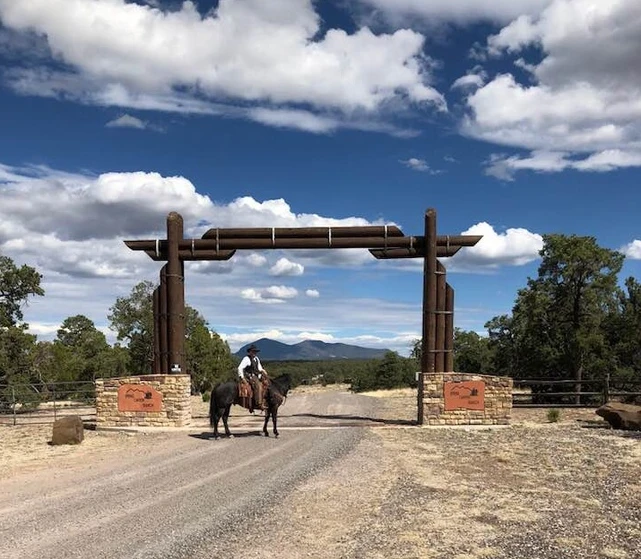 Land for Sale - SPRING CANYON RANCH - Lot 21, Quemado, NM 87829 - 4.66 ...