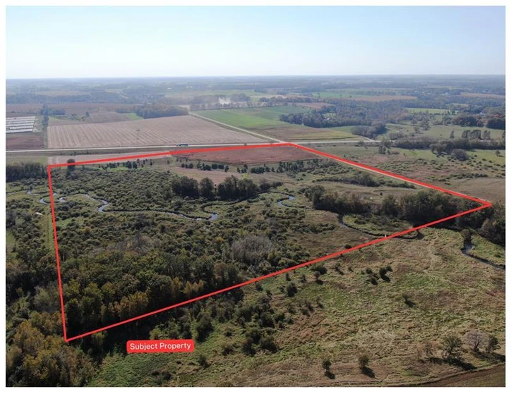 Land for Sale - XXX County Road 89, Browerville, MN 56438 - 39 acres
