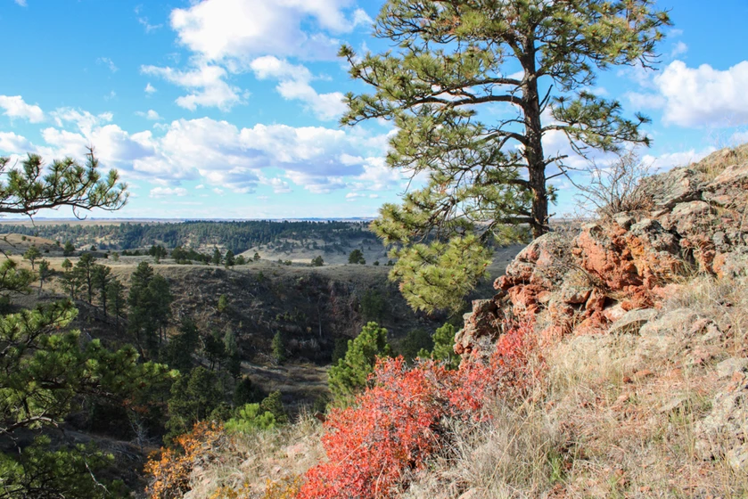 Land for Sale - 000 Tract A8 Broad Axe Road, Gillette, WY 82718 - 35 acres
