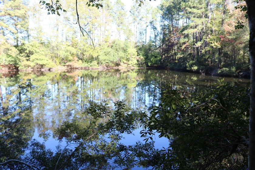 Land for Sale - Hemphill, TX 75948 - 28 acres