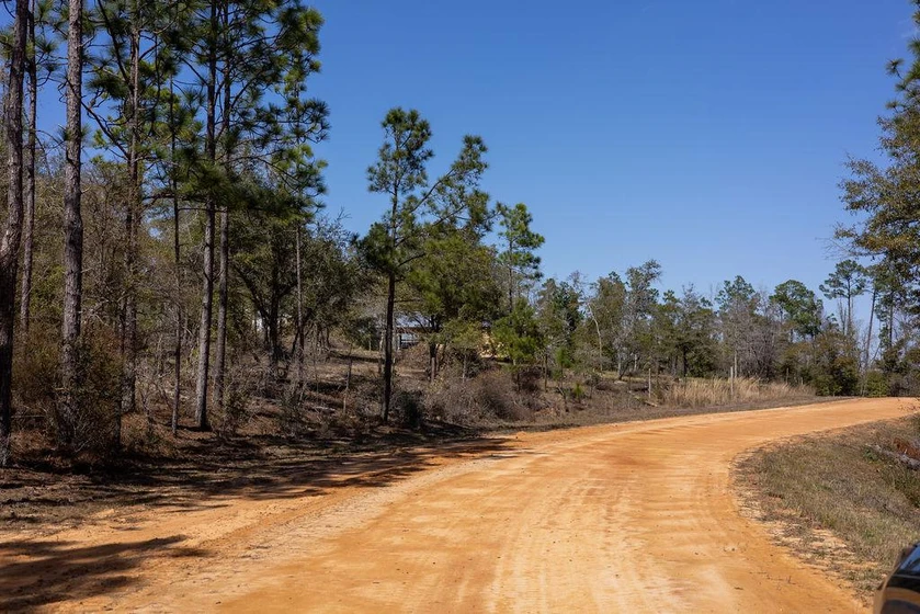 Land for Sale - Holly Springs Ave, Alford, FL 32420 - 2.05 acres