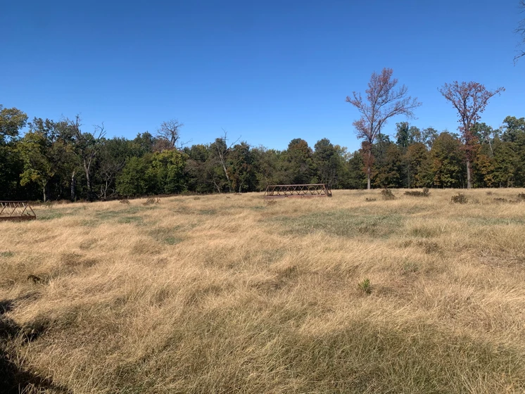 Land for Sale - 9001 South 700 Road, Wyandotte, OK 74370 - 170 acres