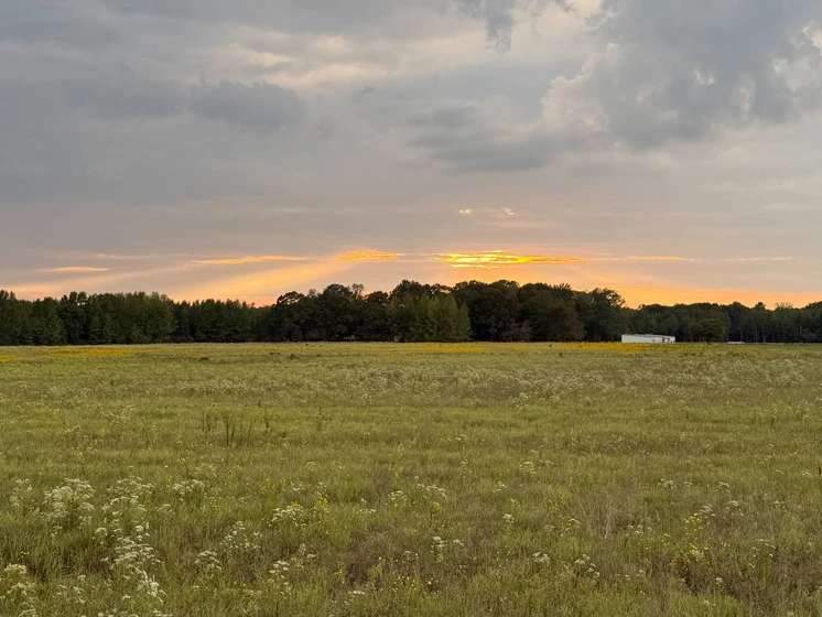 Land For Sale In Arkansas Under 5 000