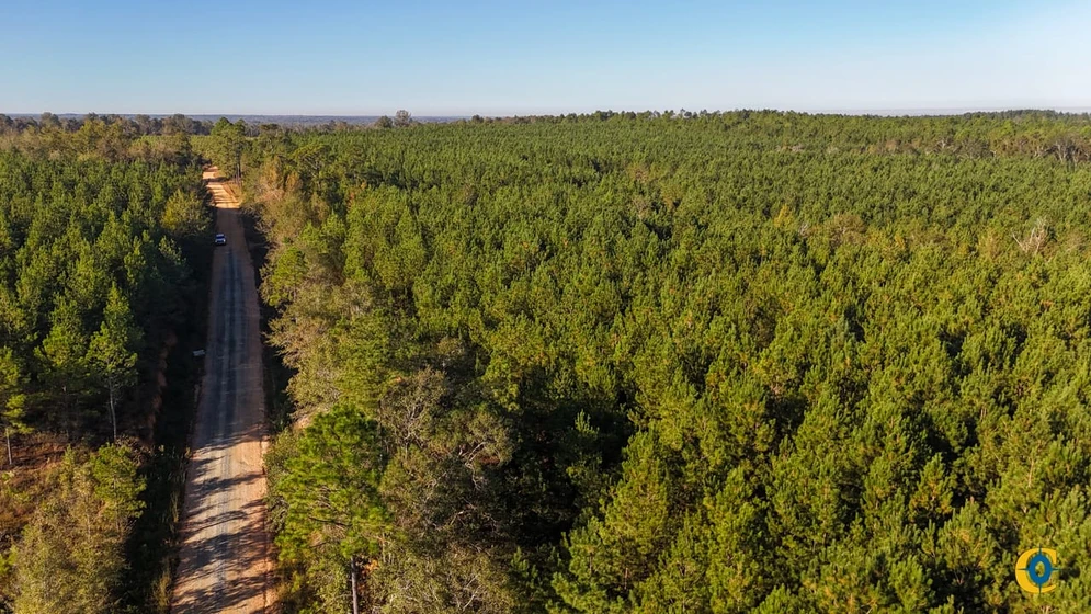 Land for Sale - Raymond Wilkes Road, Rockledge, GA 30454 - 19 acres