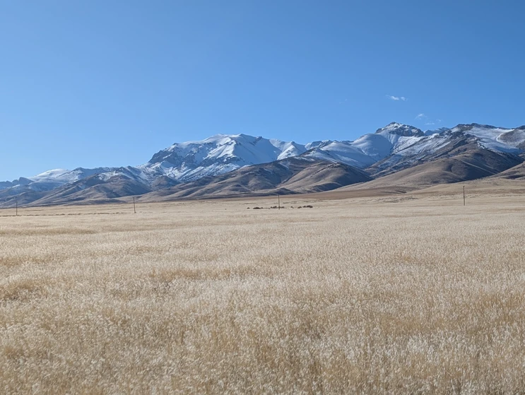 Land for Sale - Close to NV-400 HWY, IMLAY, NV 89418 (0-0.4 miles ...