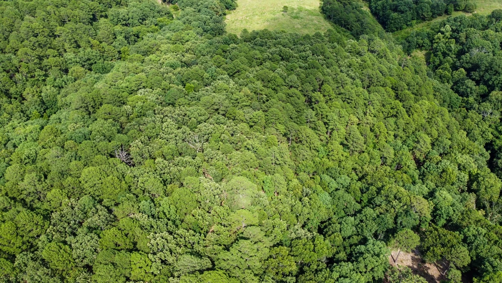 Land for Sale - 183 East 484 Road, Jay, OK 74346 - 1.83 acres