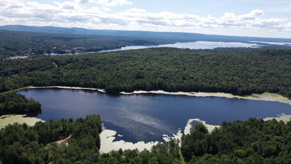 Land for Sale - 270 collins gifford valley rd, Northville, NY 12134 ...