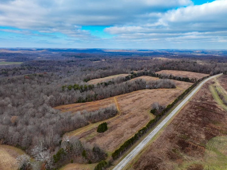 Land for Sale - 11405 State Route 120, Marion, KY 42064 - 259.75 acres