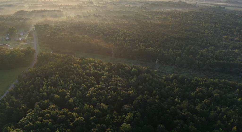 Land for Sale - 3612 Sand Road, Steens, MS 39766 - 139 acres