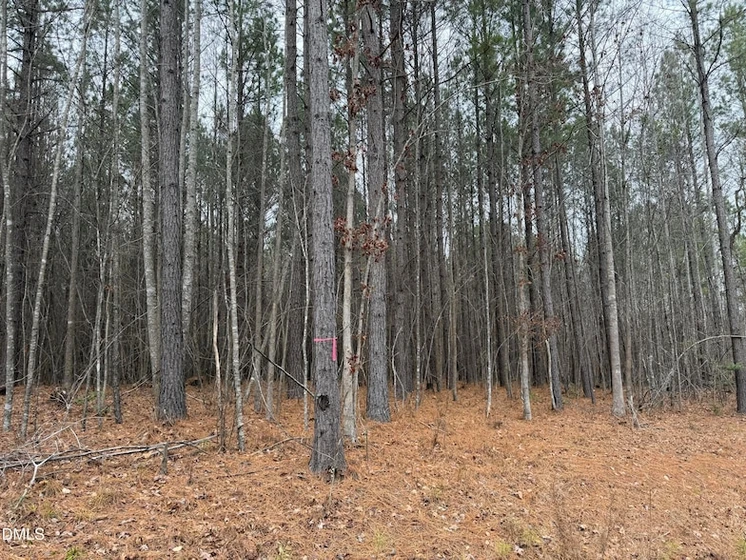 Land for Sale - 1652 Garrett Farm Road, Stem, NC 27581 - 10 acres