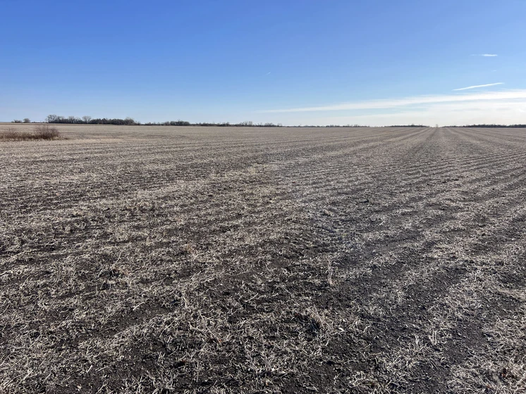 Land for Sale - Mountain, ND 58262 - 136.59 acres