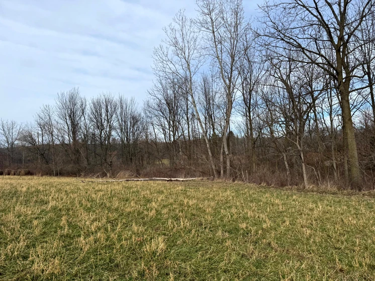 Land for Sale - 2d Creek Road, Nunda, NY 14517 - 3.13 acres