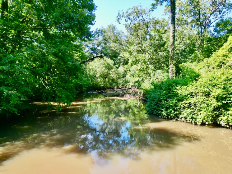 Land for Sale - 145 County Road 3339, Brundidge, AL, Brundidge, AL ...