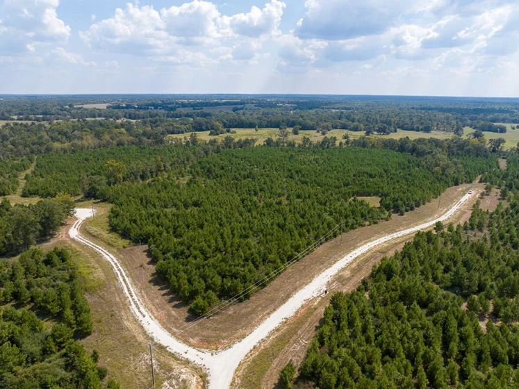 Land for Sale - 572 Robertson Road, Lovelady, TX 75851 - 10.01 acres