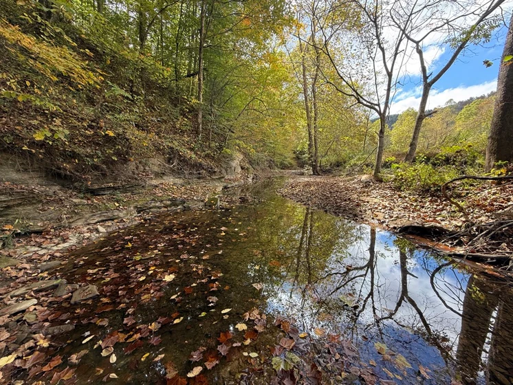 Land for Sale - Mud Lick/Hunting Creek WP Lot#001, Rousseau, KY 41366 ...