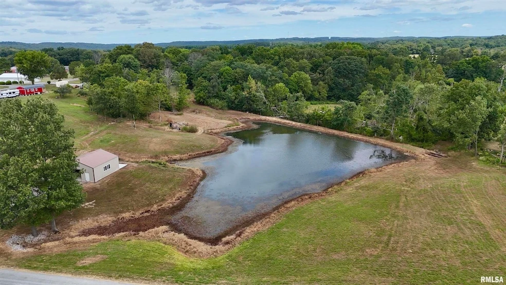 Land for Sale - 0000 Tulip Lane, Vienna, IL 62995 - 5.53 acres