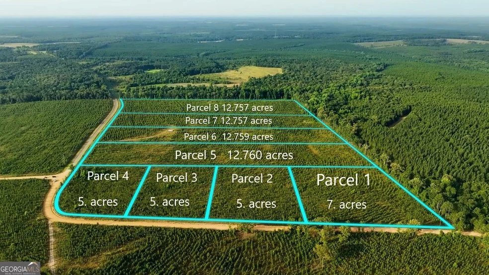 Land for Sale - Parcel 6 Carl Rogers Road, Reynolds, GA 31076 - 12.75 acres